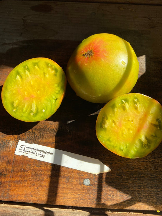 Captain Lucky Tomato - Organic - Greta's Family Gardens