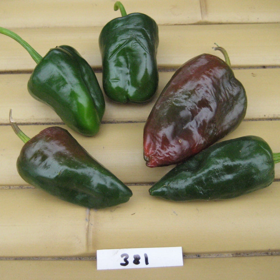 HOT PEPPERS - Greta's Family Gardens