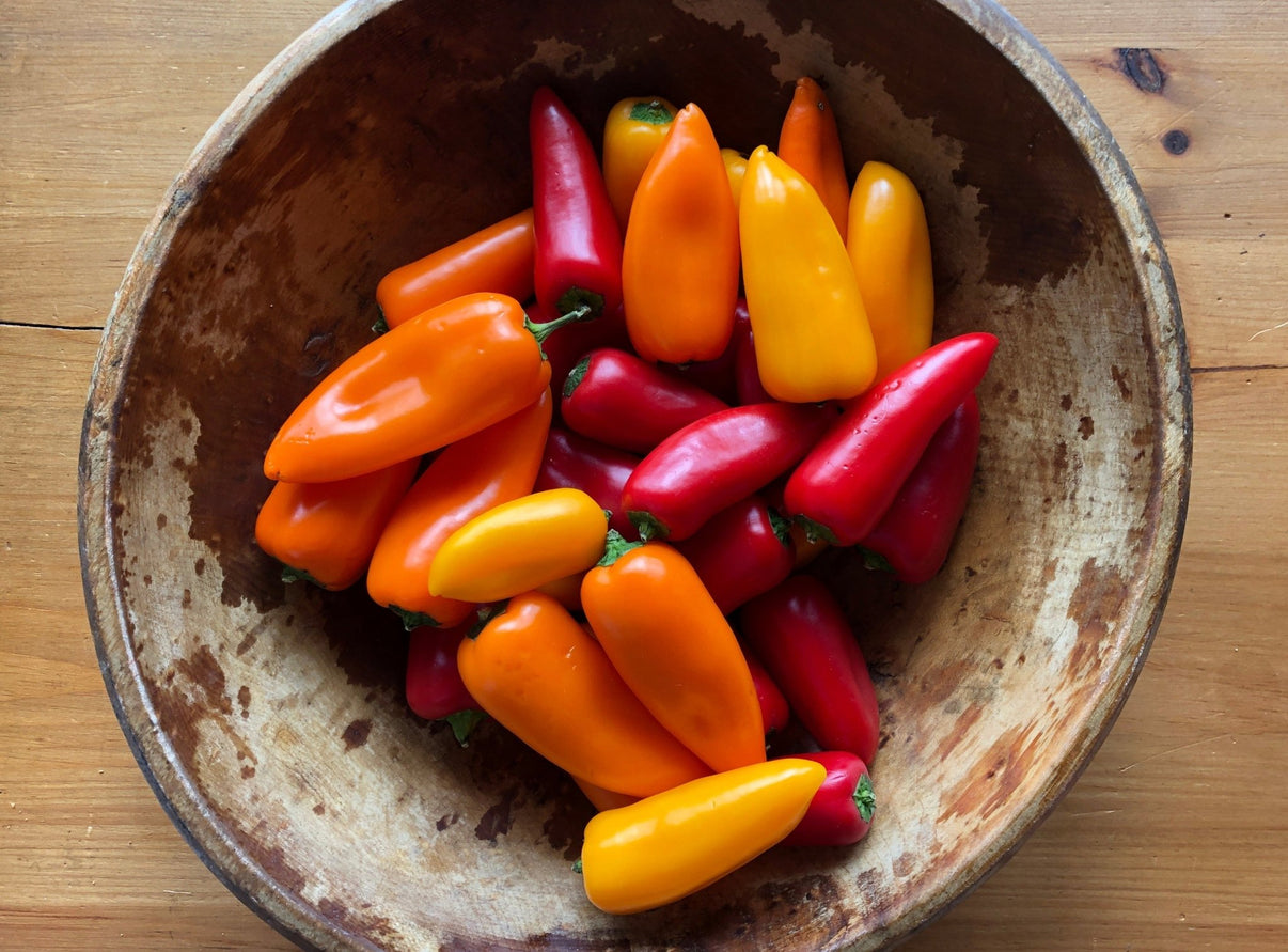 Lunchbox Peppers Mix - Organic - Greta's Family Gardens